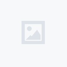 中盛低烟无卤屏蔽双绞线WDZ-RYSP 4*1.0_安徽中盛电气集团有限公司